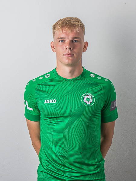 Denis Budínský | Profil hráče | FK PŘÍBRAM - Fotbalový klub